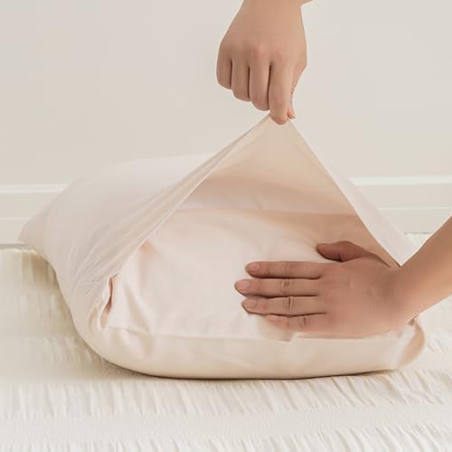 NiNi ALL Bedding Queen Pillow Cases 4 Pack 100% Brushed Microfiber Beige Pillowcases Soft & Breathable All seasons Pillow Covers with Envelope Closure for Women Men, Queen Size 20x30 Inches