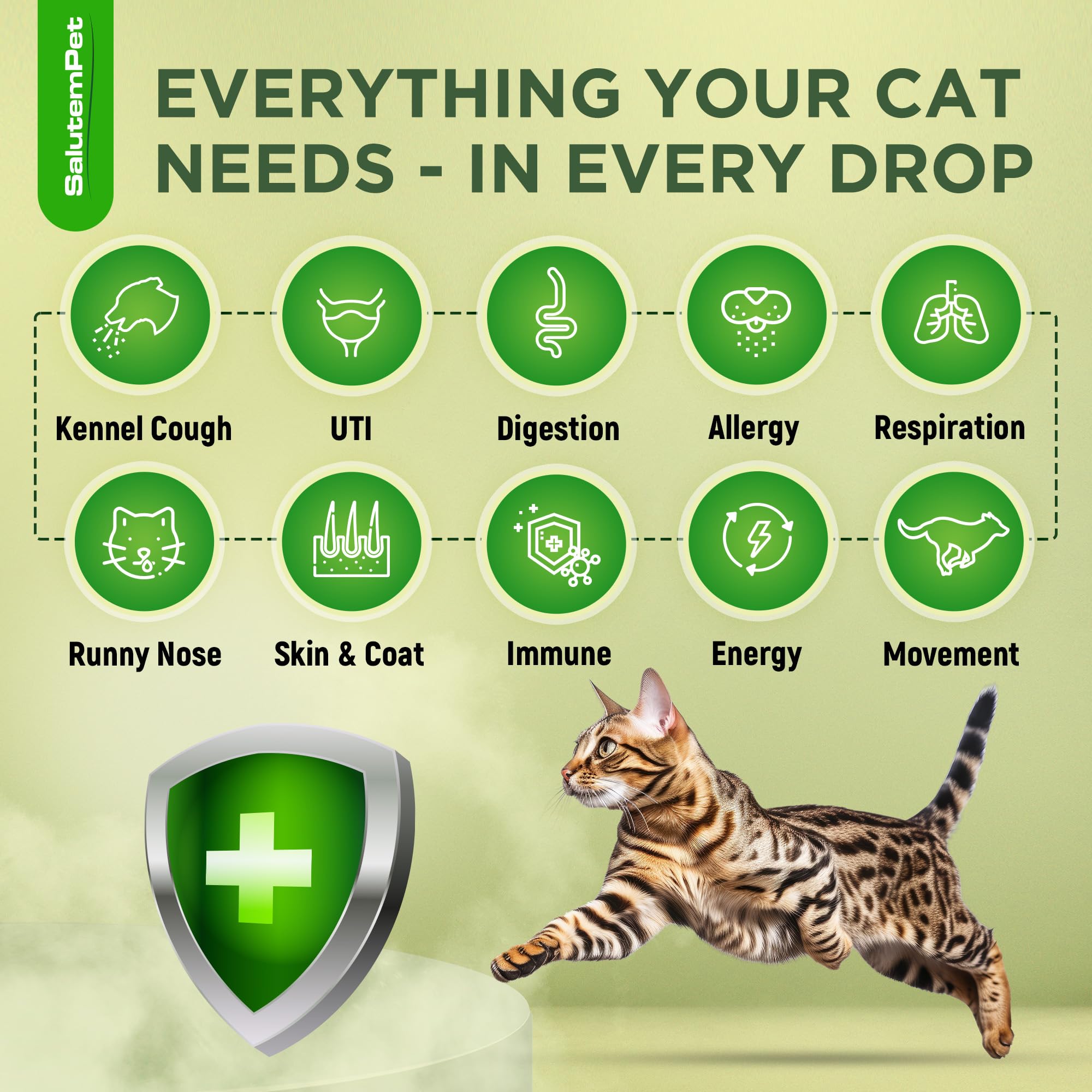 Natural Antibiotics for Cats | Cat Antibiotics | Supports Cat Allergy Relief | Cat Itch Relief | Cat Allergy Support | Cat Multivitamin | Pet Antibiotics | Cat Antibiotics | 2 Oz