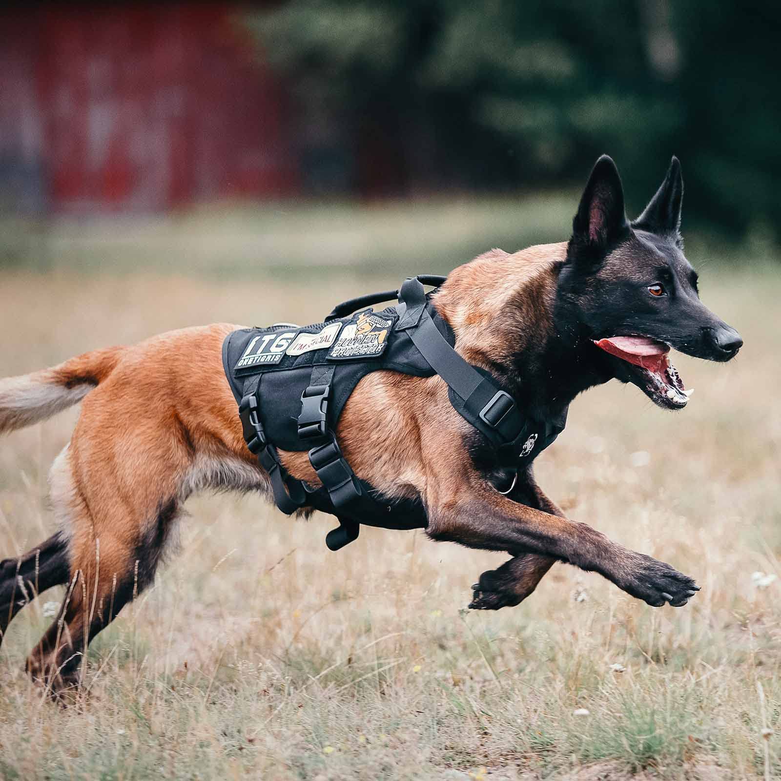 OneTigris No Pull Tactical Dog Harness for Medium Dog, Aire Mesh Dog Vest Harness, Breathable Military Dog Molle Vests with Handles, Service Dog Vest for Walking Hiking Training (M, Black)