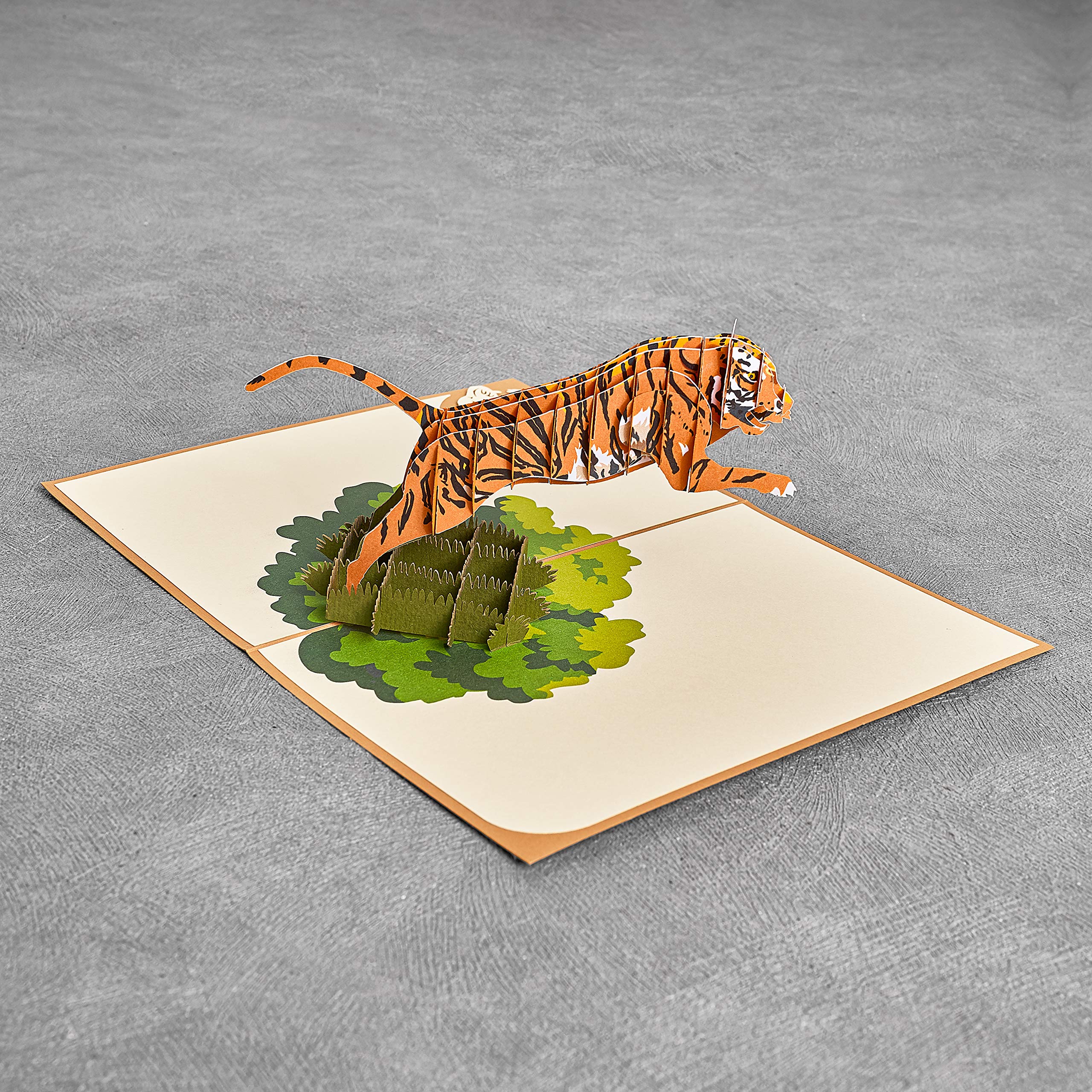 Rykamia Tiger Pop Up Card, Blank, with Envelope, 3D, Delightful Illustrations, Suitable for Any Occasion, Protective Poly Bag Included