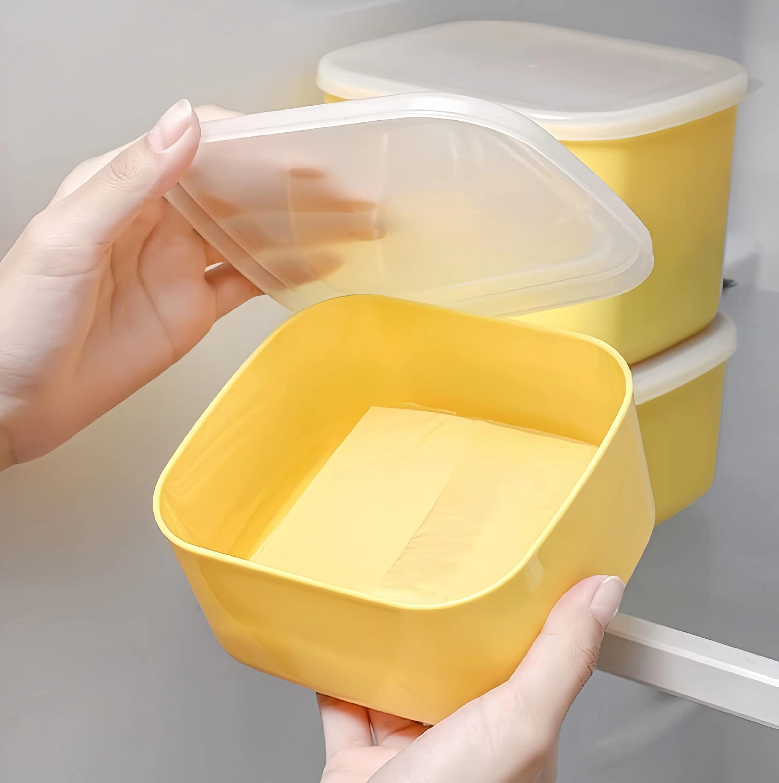 wulikanhua 2 Pack-Cold Dish Storage Container, Deli Meat Container Cold Cuts Fridge Keeper, Cheese Food Storage Container with Lid for Refrigerator, Shallow Low Profile Christmas Cookie Holder