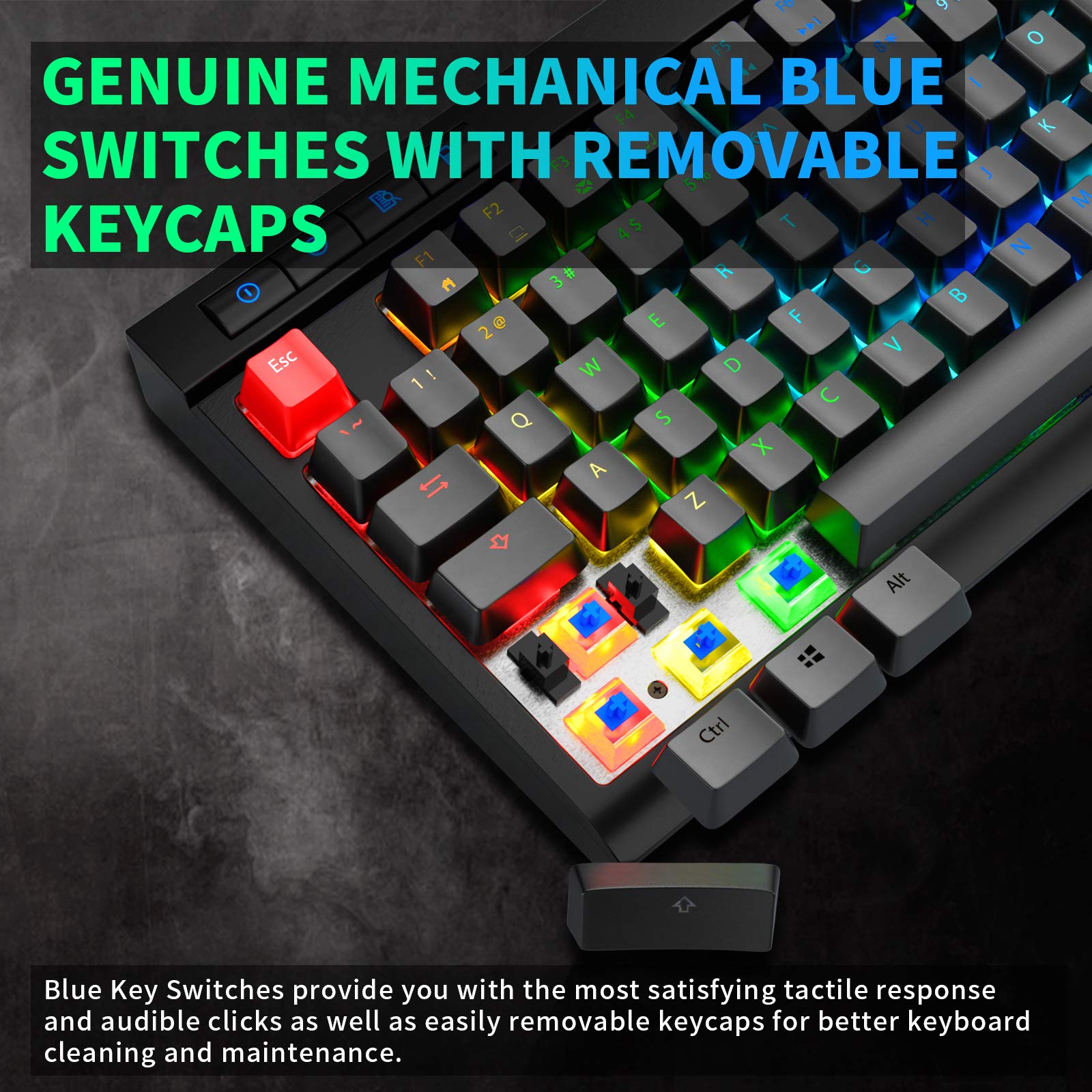 STOGA Mechanical Gaming Keyboard,87 Keys Wired Gaming Keyboard,LED Rainbow Backlit Keyboard with Blue Switches for Windows/MAC/Gaming PC(Black)
