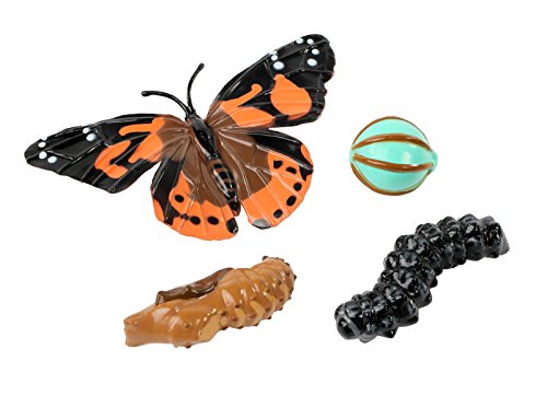 Mini Butterfly Garden Gift Set Two Live Cups of Caterpillars โ Dual Lens Magnifier โ Butterfly Life Cycle Stages
