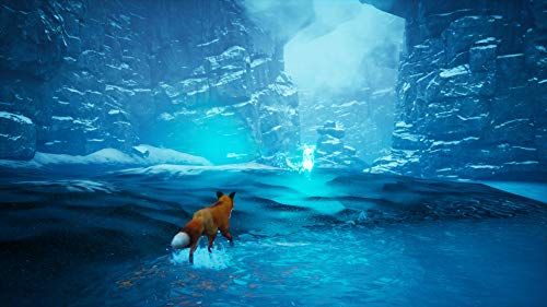 Spirit of The North - PlayStation 5 Standard Edition