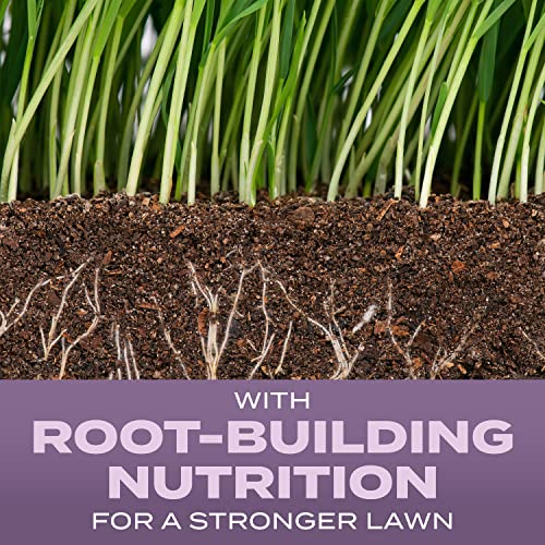 Scotts Turf Builder Grass Seed Perennial Ryegrass Mix with Fertilizer and Soil Improver, Establishes Quickly, 2.4 lbs.