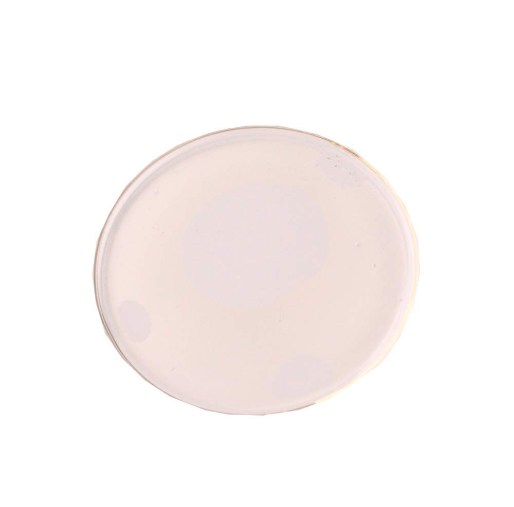 Sensor Pad 32mm