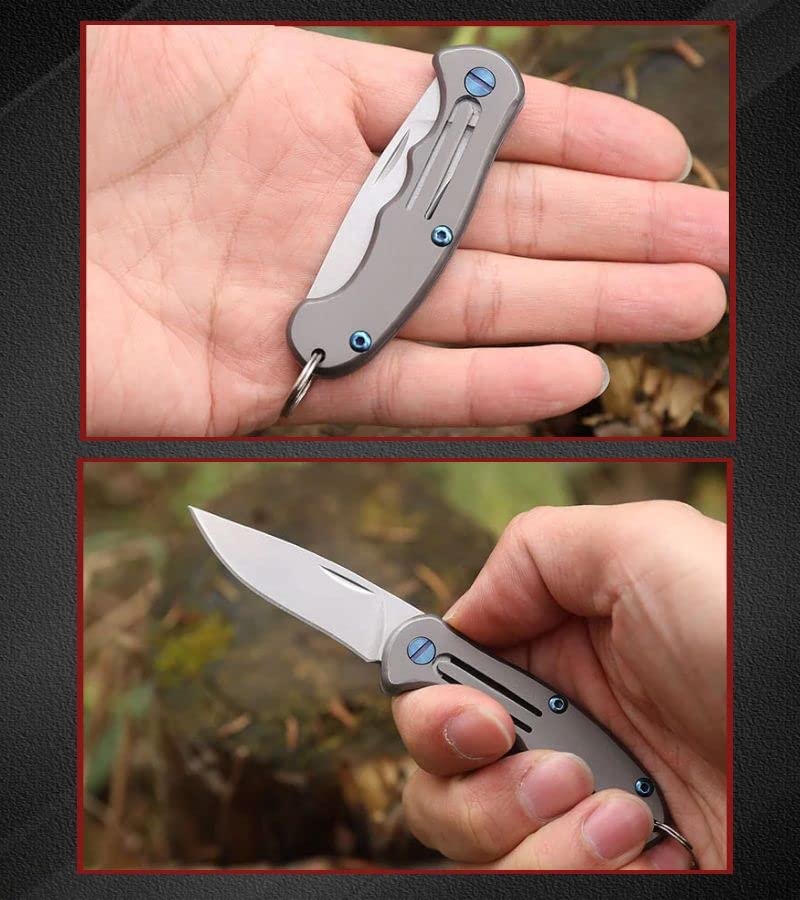 VSL VANSLENSON Small Folding Knife Mini EDC Pocket Knife 2 inch Stainless Steel Knife Gray (2)