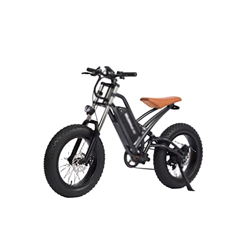 Wonzoneddzxc Electric Bicycles 20 Inch Electric Bicycle Variable Speed Off-Road Booster with Removable Electric Mountain Bike
