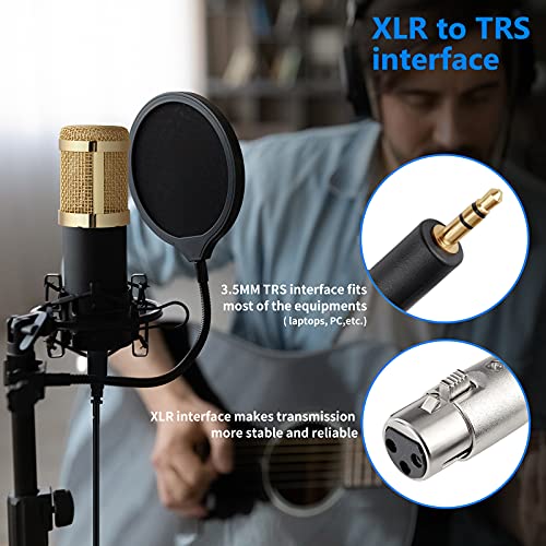 Neewer Professional Studio Broadcasting Recording Condenser Microphone & NW- 35 Adjustable Recording Microphone Suspension Scissor Arm Stand with Shock Mount and Mounting Clamp Kit
