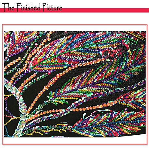 RuBos DIY 5D Diamond Painting, Dream Catcher Feather, Special Shape Crystal Diamond Art Gem Paint with Mosaic Pattern Rhinestone Gift Wall Decor it Kits for Adults