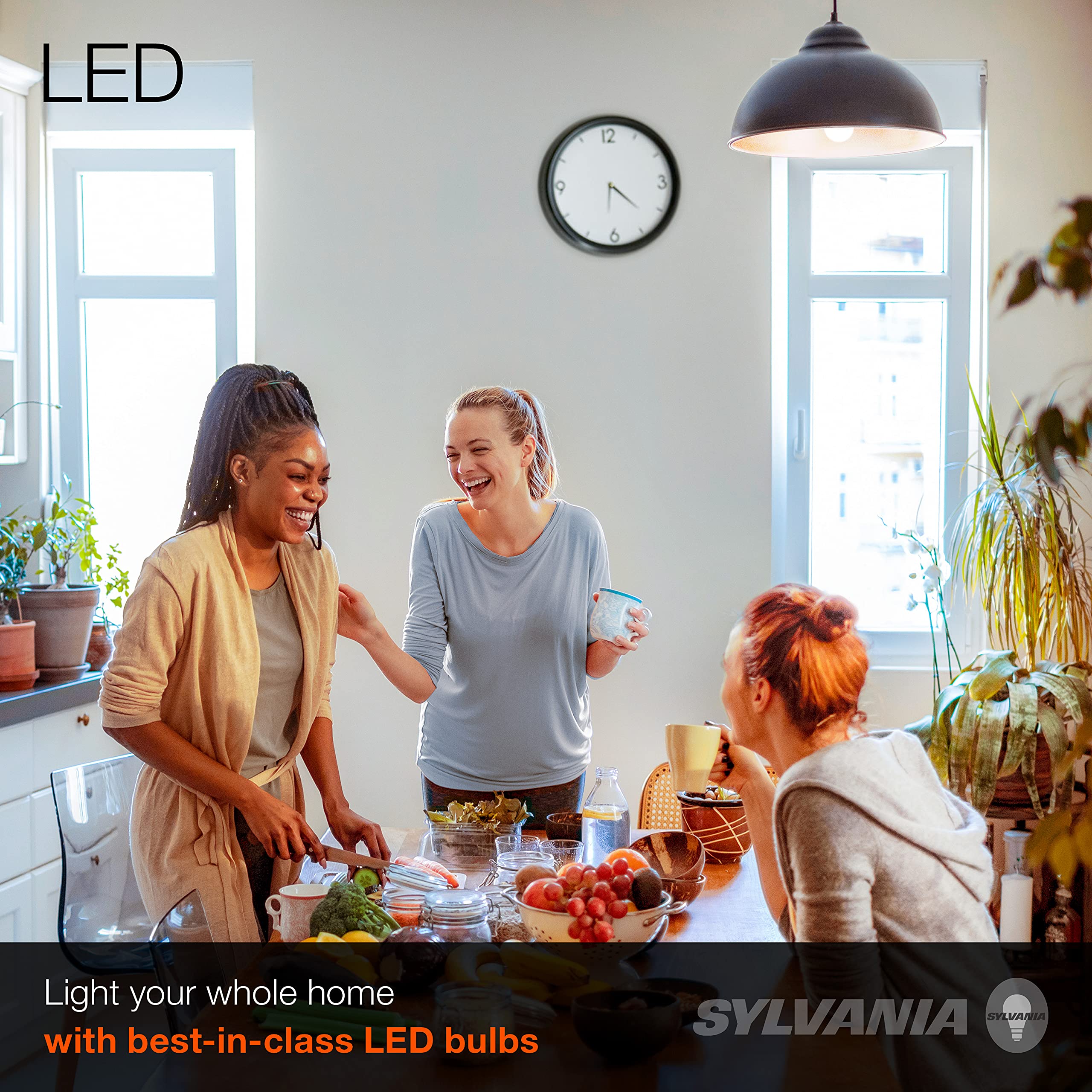 SYLVANIA LED Light Bulb, A19, 100W Equivalent, Efficient 16W, 13 Year, Medium Base, Dimmable, Frosted, 2700K, Soft White - 4 Pack (40737)