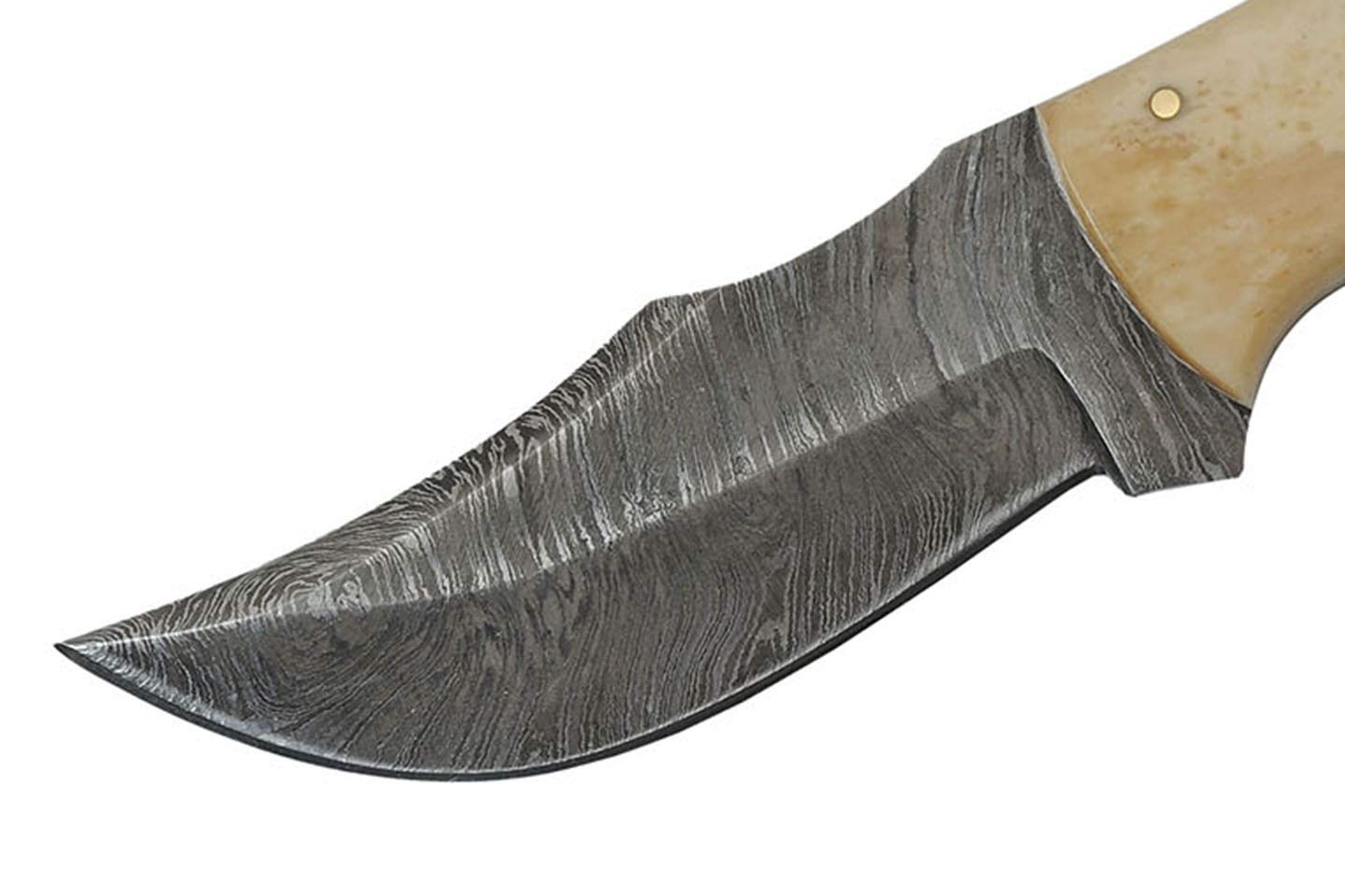 Szco Supplies 8.5” Stag Handle Damascus Steel Fixed-Blade Knife Outdoor Hunting Knife with Sheath