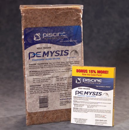 Piscene Energetics Frozen APE00016 Flat Pack Freshwater Mysis Shrimp Fish Food, 16-Ounce