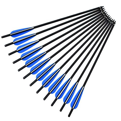 SHENG-RUI 16/18/20/22 inch Archery Crossbow Bolts Arrows Hunting Practicing Carbon Arrows Half Moon Nock for Targeting Hunting Outdoor Sport