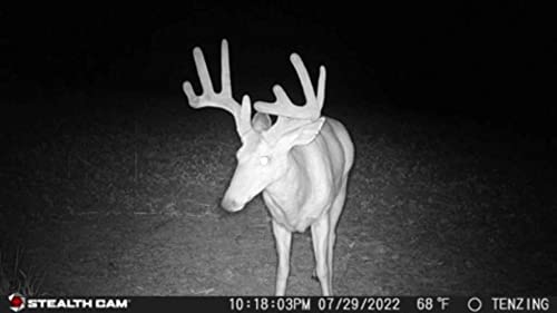Stealth Cam outdoor Connect Cellular Camera - Verizon, 720p