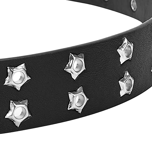 WHIPPY Double Grommet Belt for Women Men PU Leather Double Prong Buckle Vintage Punk Rock Jeans Belts (Black, XL)