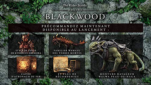 The Elder Scrolls Online Collection: Blackwood (PS4)