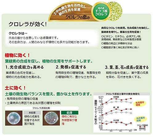 Nutritional 30g 3 Pieces to Fill in chlorella of Grace Soil