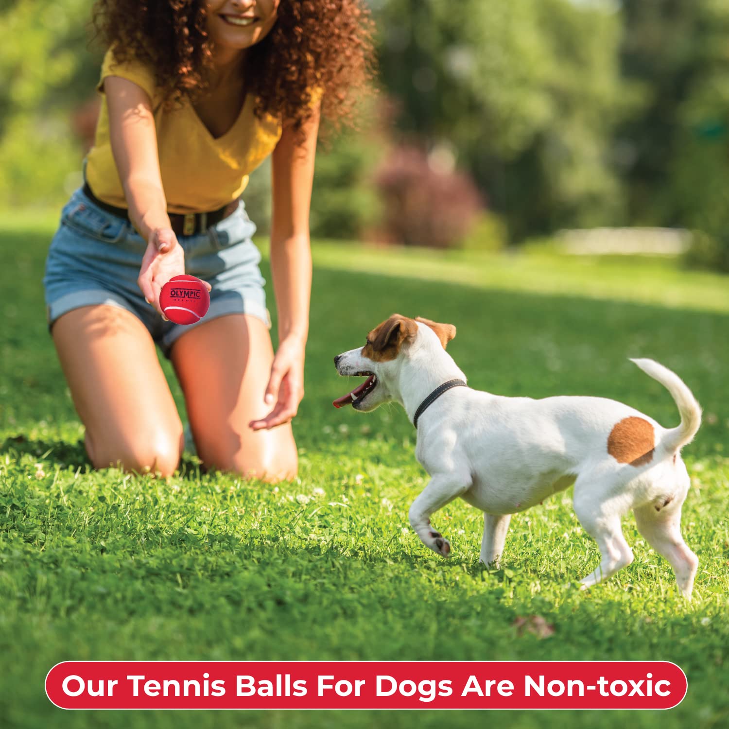 SPORTAXIS Olympic Cricket Tennis Balls - Hard Tennis β All Courts, Durable, Training Balls for Lessons, Practice, Beginners - Red Color - Pack of 3