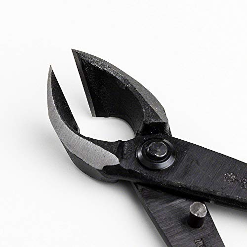 Wazakura 4PCS Bonsai Essential Tool Kit Made in Japan, Yasugi Steel Satsuki Bonsai Scissors + Concave Branch Cutter 8in (200mm) + Stainless Tweezers + Sap Eraser Set