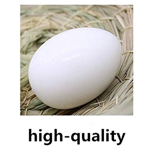 vctas Plastic Pigeon Eggs (Pack of 10) Solid Fake Pigeon Eggs Simulation Bird Eggs White Premium Dummy Eggs for Racing Pigeons & Hatching