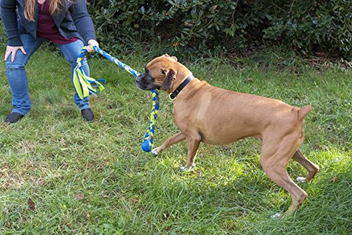 PetSafe Infini-Tug Dog Toy