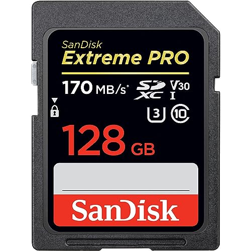 Ricoh WG-6 Digital Camera (Black) 03843 Accessory Bundle Includes: 128GB Extreme PRO 170MB/s SD, Memory Card Reader, Gadget Bag, Blower. Microfiber Cloth and Cleaning Kit (Renewed)