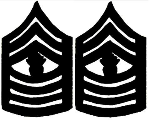 Officially Licensed United States Marine Corps Insignia of Rank Master Gunnery Sergeant E9 (Set of Two)