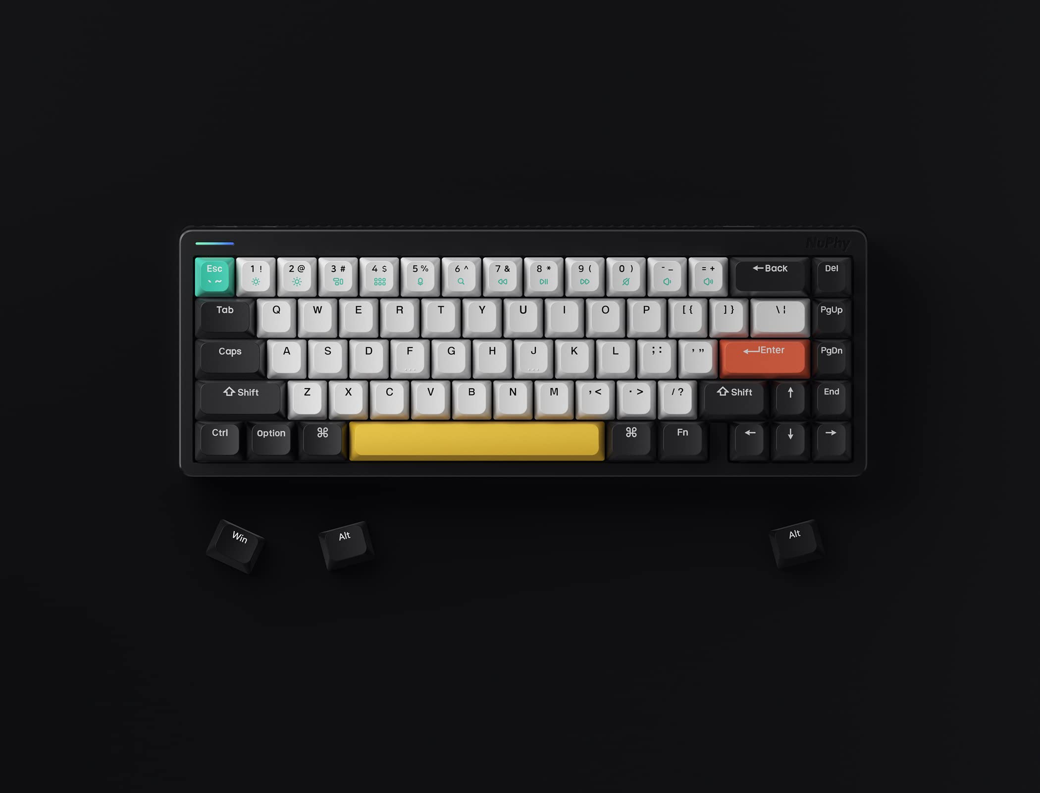 nuphy Halo65 Mechanical Gaming Keyboard with PBT Keycaps, 65% RGB Hot-swap Wireless Keyboard, Supports Bluetooth、2.4G and Wired Connection,Compatible with Mac and Windows-Black(Baby Raccoon Switch)
