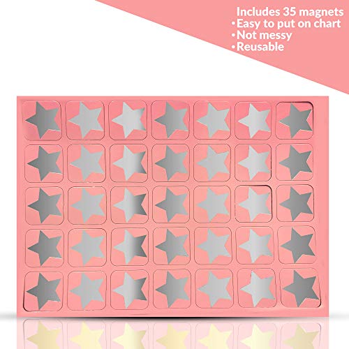 Potty Training Chart for Toddlers - Princess Themed Magnetic Potty Reward Chart with Star Magnets and Crown