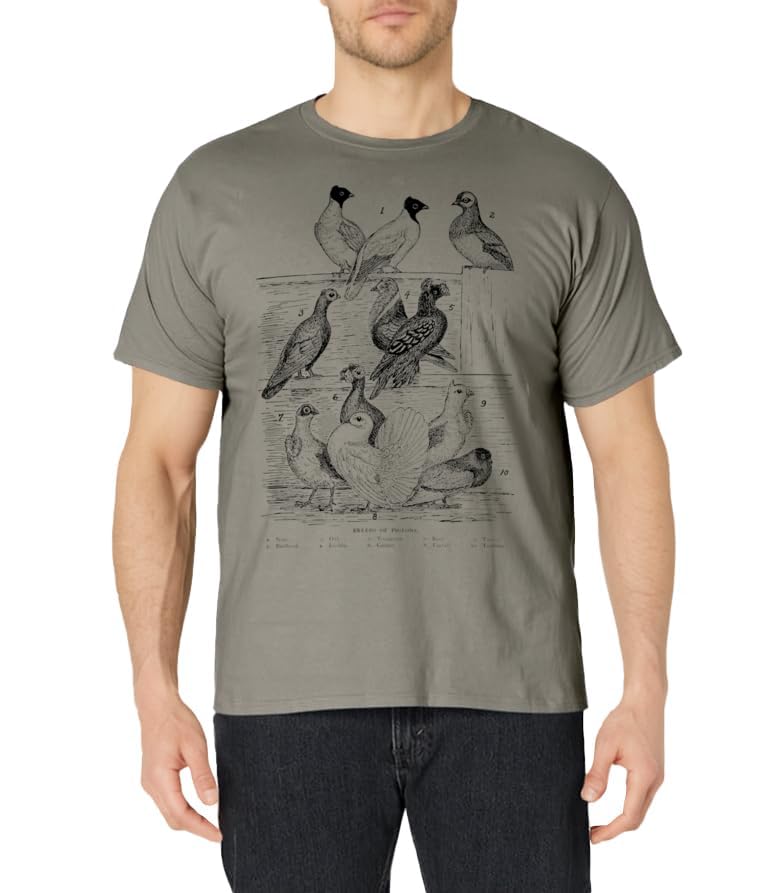 PIGEON Vintage Breeds of Pigeons gift for pigeon lover T-Shirt