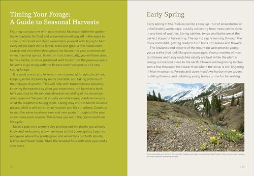 Mountain States Foraging: 115 Wild and Flavorful Edibles from Alpine Sorrel to Wild Hops (Regional Foraging Series)