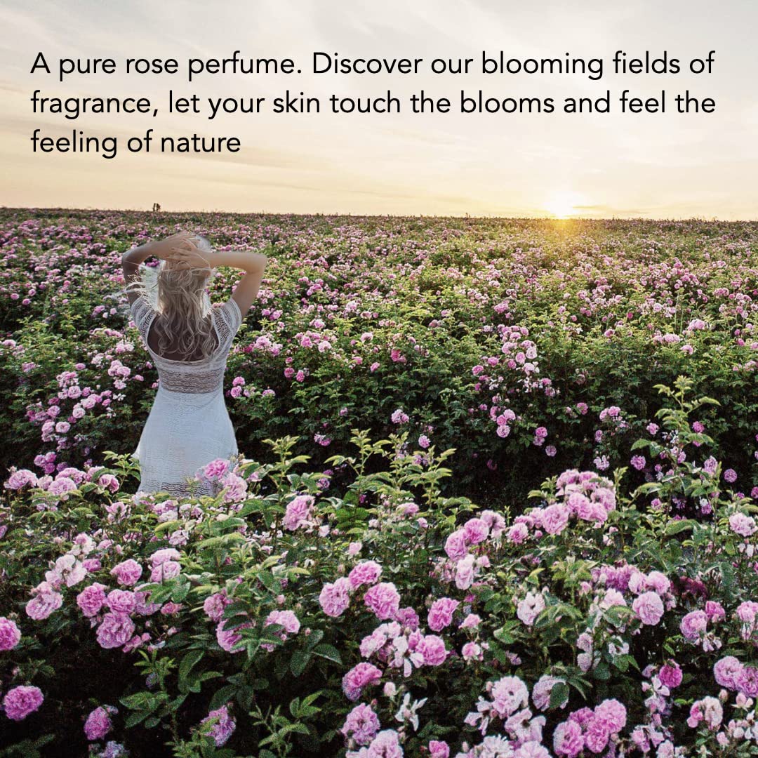 Natural Fragrance Eau de Parfum 3.4 Fl Oz | Plus Its Base Note Flower Hydrated To Last Months | Taif Rose Perfume