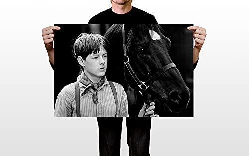 SMARTZONE Black Beauty Movie Mark Lester Rare Hot Vintage Wall Art - Water Resistant Poster (Size: 20" x 30")