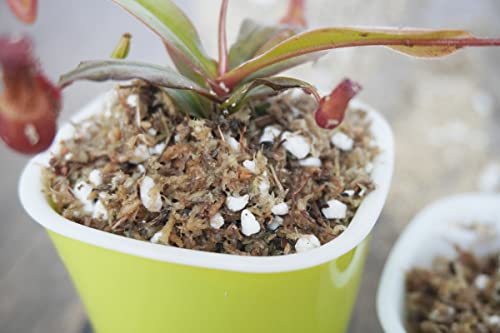 Yilotuce 3 Qts Carnivorous Plant Soil Mix, Great Potting Soil for Venus Fly Trap Live Plant, Pitcher Plants, Sundews and Butterworts