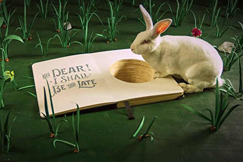 Moleskine Limited Edition Alice in Wonderland Notebook, Hard Cover, Large (5" x 8.25") Plain/Blank, Black, 240 Pages, (LEAL01QP062)