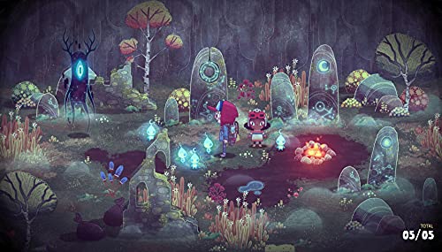 The Wild at Heart (Nintendo Switch)