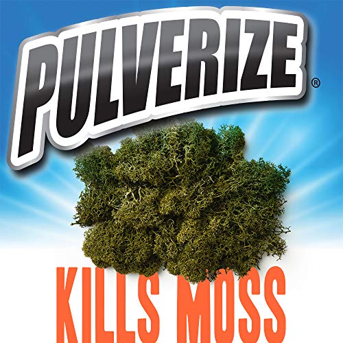 Pulverize Non-Selective Weed and Grass Killer Spray - Fast Acting, Non-Staining Weed and Crabgrass Killer - 32 Ounce Trigger Spray Bottle