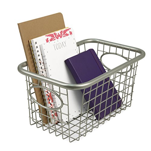 Spectrum Diversified Avery Small Bin for Storage and Organization Basket, 1 Count (Pack of 1), Nickel