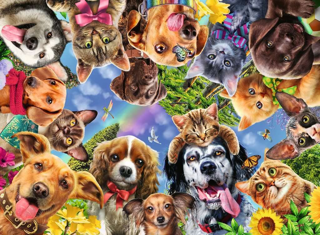 Ravensburger 15042 Funny Animal Selfie 500 Piece Puzzle for Adults - Every Piece is Unique, Softclick Technology Means Pieces Fit Together Perfectly