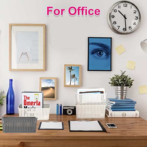 RAXMETRY Plastic Storage Baskets With Lid Lidded Storage Bins Pantry Organization and Storage Containers Small Baskets for Desktop Drawers Closet Classroom Bedroom Office