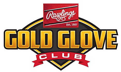 Rawlings Gold Glove HOH 11.5" PRO I Web