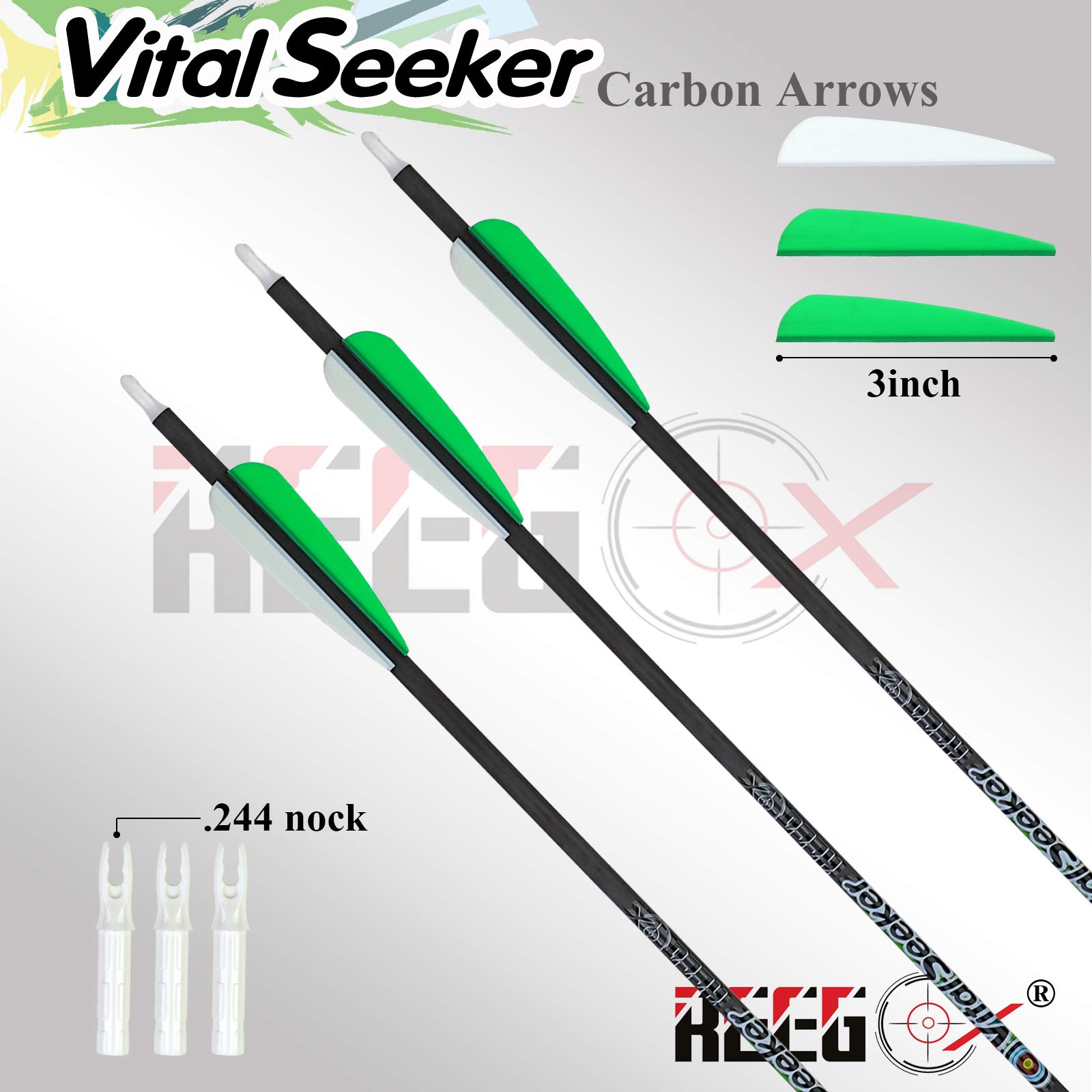 REEGOX Arrows Archery Hunting Practice Arrows for Compound and Recurve Bow-30 inch Target Arrows for Youth & Adults with Removable Tips(Pack of 12)