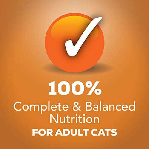Purina Friskies Gravy Pate, Wet Cat Food Extra Gravy Pate With Chicken in Savory - (Pack of 24) 5.5 oz. Cans