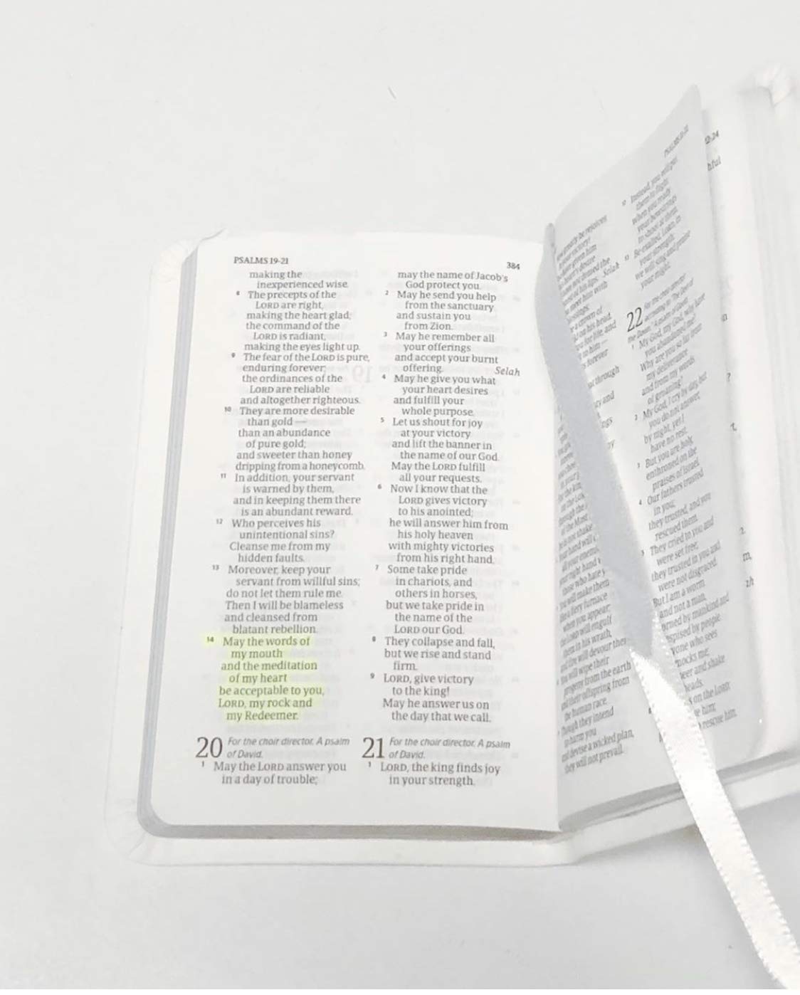 Pacidoodle Personalized Baby Gift Bible Engraved Baby Bible (Blue)