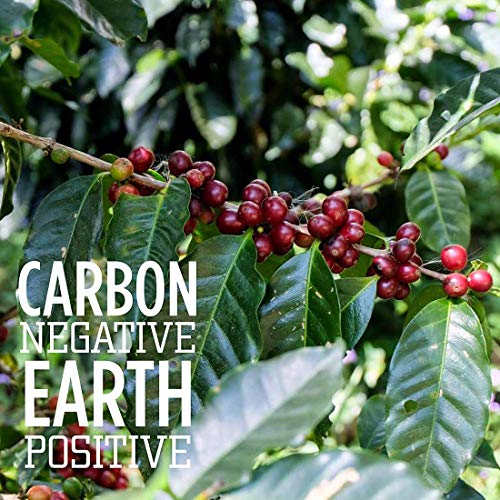 Tiny Footprint Coffee - Signature Blend, Light Roast, USDA Organic Coffee - Whole Bean Coffee, Fair Trade, Shade Grown & Carbon Negative - You Drink Coffee, We Plant Trees, 3 Pounds
