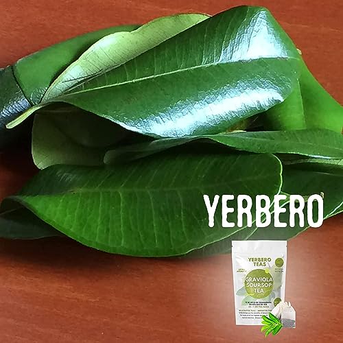 Yerbero - Whole Dried Graviola Soursop Leaves (4 oz - 330+ Leaves Per Bag) Hoja De Guanabana, 100% All Natural Delicious Fresh Tea | From Mexico | Premium Wildcrafted Quality.