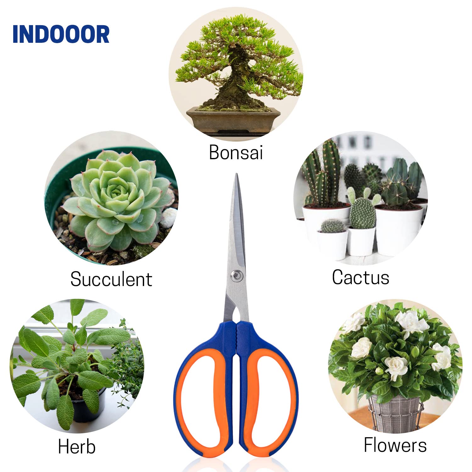 WISEPRO Bonsai Scissors, Gardening Cutters, Sharp Plant Trimming Shears, Flower Pruning Snips, Rose Cutting Tools with Stainless Steel Blade(6PACK)