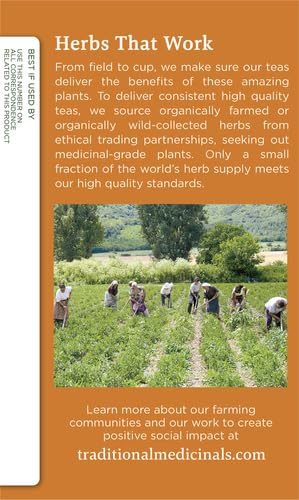 Traditional Medicinals Organic Gas Relief Chamomile Mint Herbal Tea, Relieves Gas & Bloating, (Pack of 1) - 16 Tea Bags
