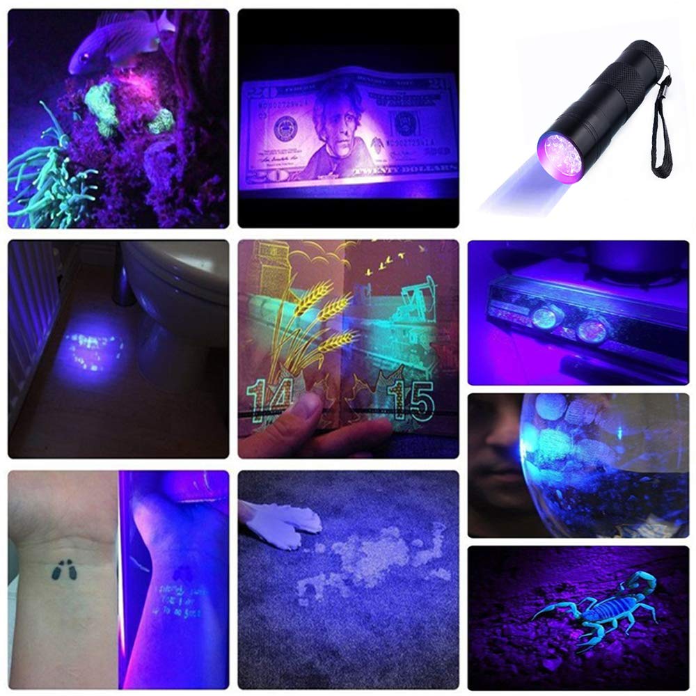 Optimal Shop 6 Pack UV Blacklight 12 LED Flashlight Torch Light Outdoors Etc(6 Pack 12 LED)
